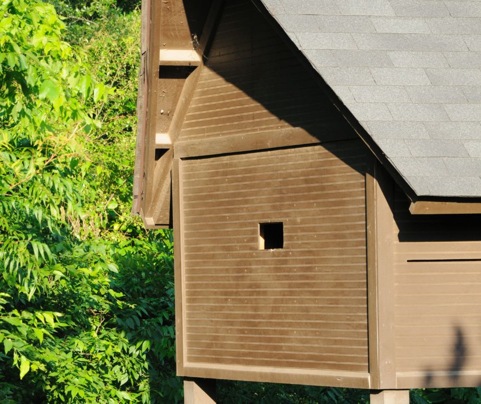 The Benefits of Installing Bat Houses for Natural Pest Control ...